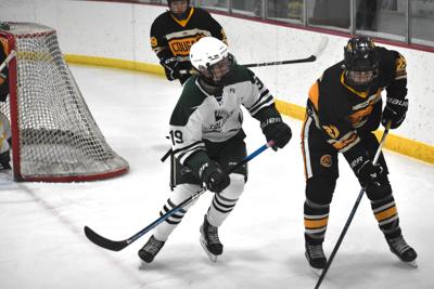 Falcons knock off Fairmont 7-3 as Kunze hits 20 goals | Sports ...