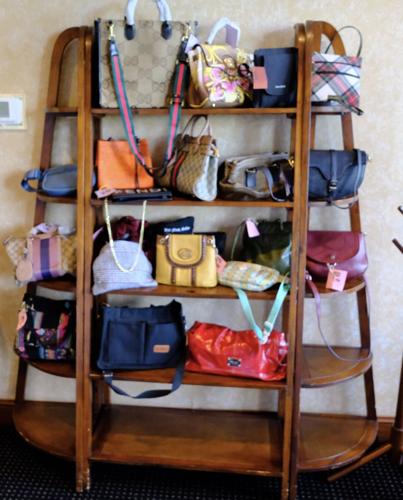Power of the Purse continues to foster literacy in its 13th year | News ...