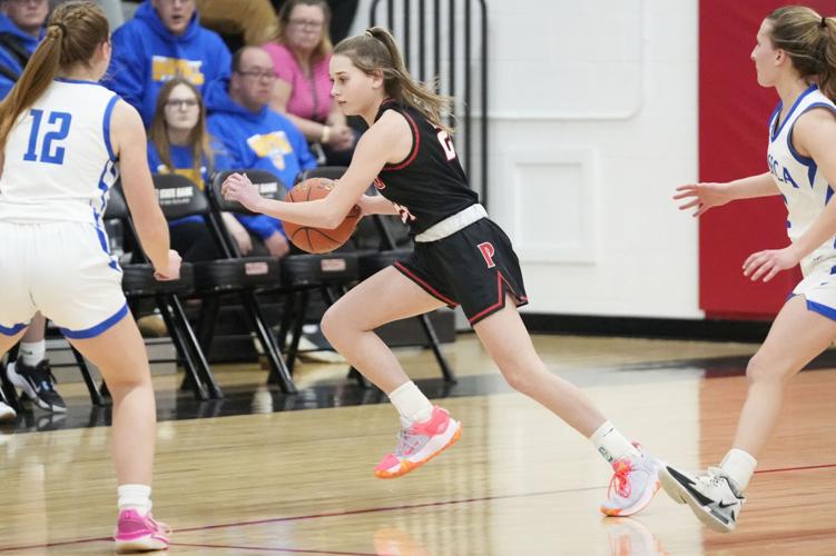 No. 2 NRHEG holds off No. 7 Waseca in Sub-Section quarterfinals ...
