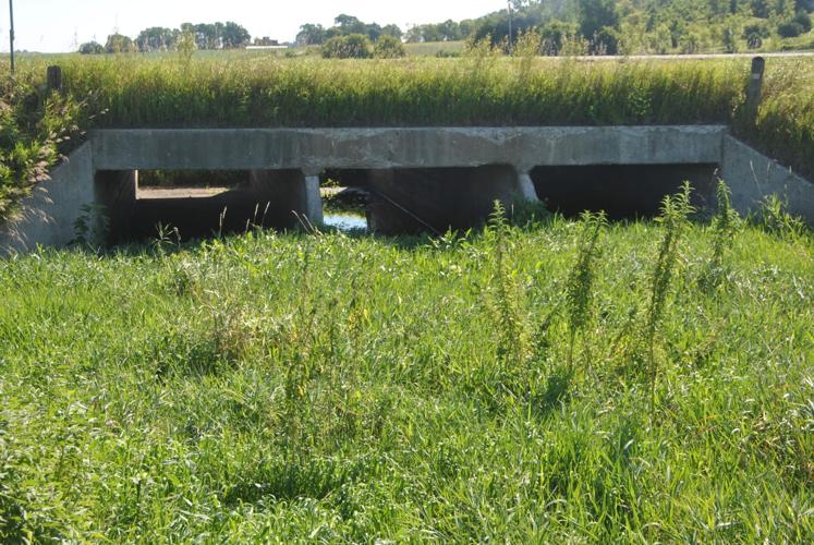 Dundas pond project set to alleviate flooding issues for Bridgewater ...