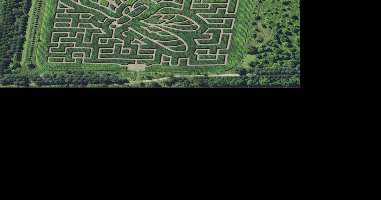 Montgomery Orchard maze design unveiled | Community | southernminn.com