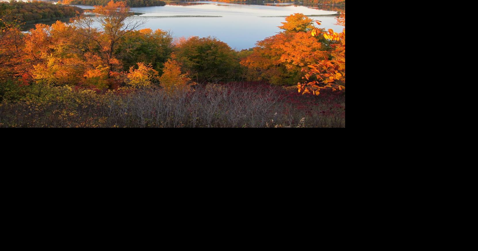 Visit Minnesota state forests for fall color driving tours | News ...