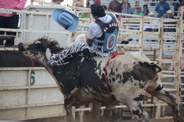Gallery: Gran Jaripeo comes to Faribault | Local | southernminn.com
