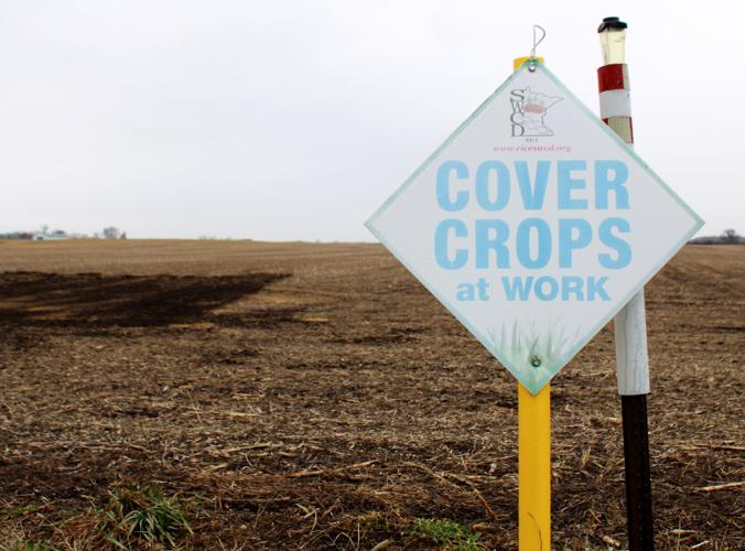 Virtual series highlights benefits of cover crops, no-till farming ...