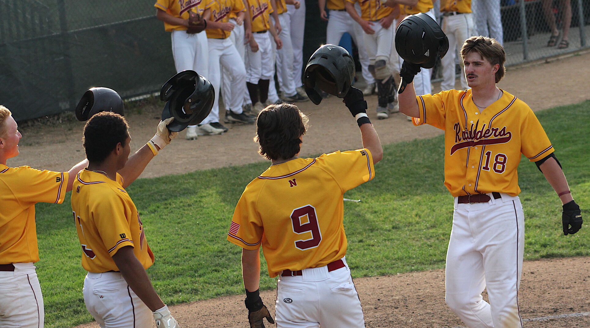 Northfield baseball aims for section title with returning top ...