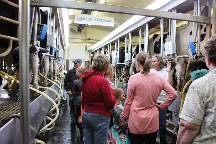 Day on the Farm gives consumers a peak into the operations of a dairy ...
