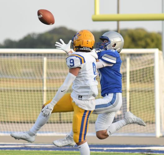 PHOTOS: Owatonna vs Hastings (Football) | | southernminn.com