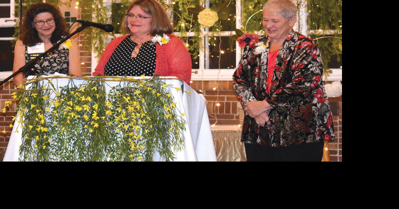 Janet Simon named 2018 Woman of Achievement during Owatonna Business ...