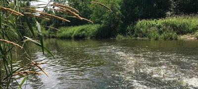 DNR sets limit on diverting water from central Minnesota trout stream ...