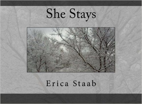 HOPE Center's Staab-Absher publishes new book that explores domestic ...