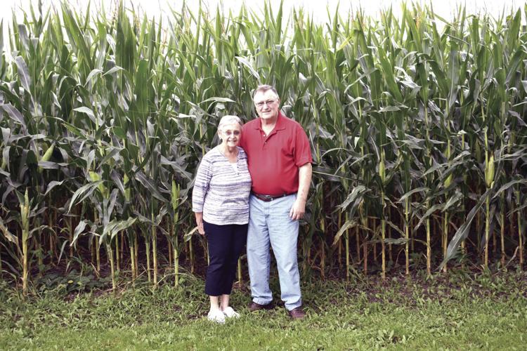 CENTURY FARMS: Trotman family still on the farm after 130 years | News ...