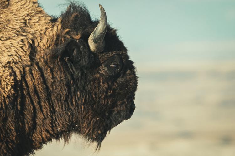 FROM THE HEART: Joe Nelson says cancer couldn't kill his laughter ...