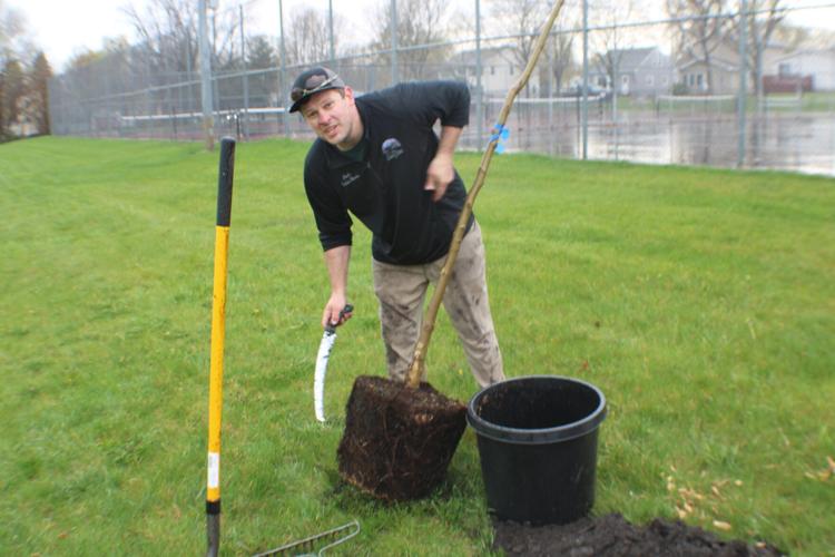 St. Peter celebrates Arbor Day with tree planting | News | southernminn.com