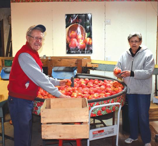 How do you like them apples? Johnson Oakside Orchard provides numerous ...
