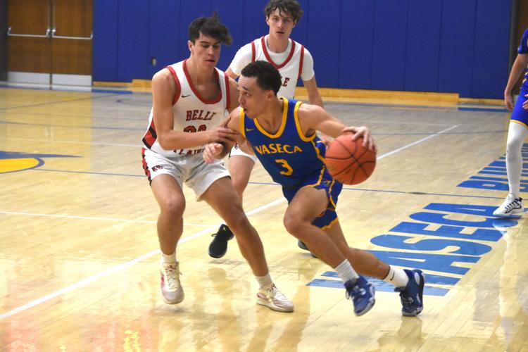 Bluejays win big against Tigers in section championship game rematch ...