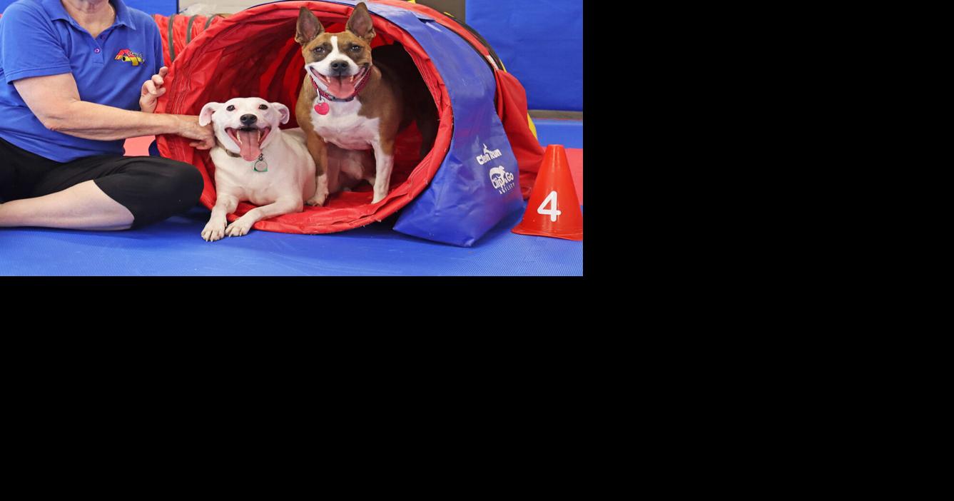 Local dog trainer opens largest facility yet near Owatonna's dog park ...