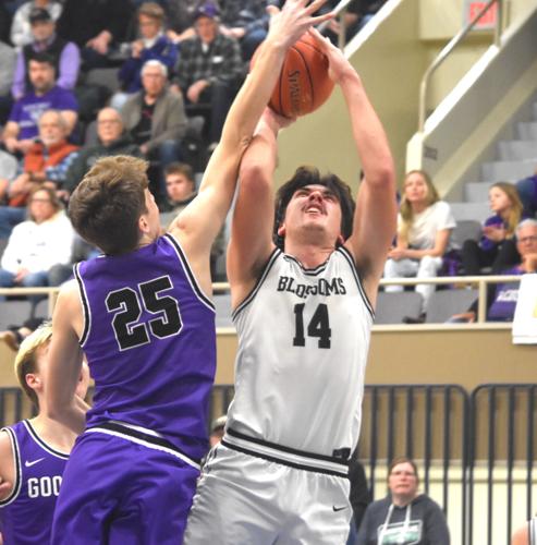 Blossoms lose to Wildcats in playoffs for 2nd straight year | Sports ...