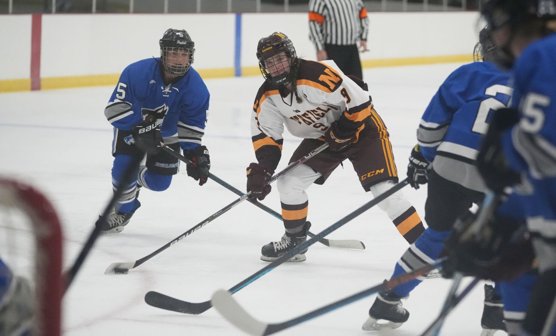 MORE PHOTOS: Northfield vs Owatonna (Girls Hockey) | Sports ...