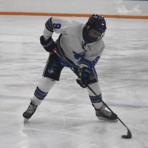 Owatonna girls hockey gets season started with home games | Sports ...