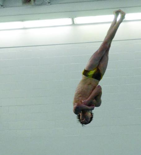 Ferris breaks own diving record as Faribault boys swim and dive falls ...