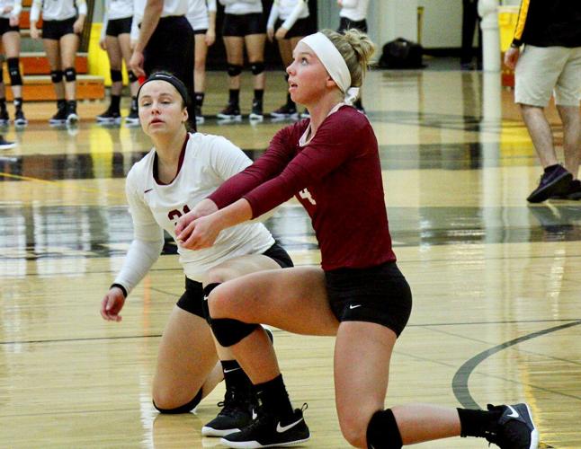 Robinson finishes first season of college athletics | Sports ...