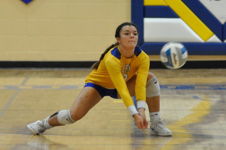 Giants suffer tough home loss to Holy Family | Sports | southernminn.com