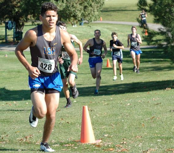 Cleveland's Tyler Erickson runs 4th in Section 2A boys cross country ...