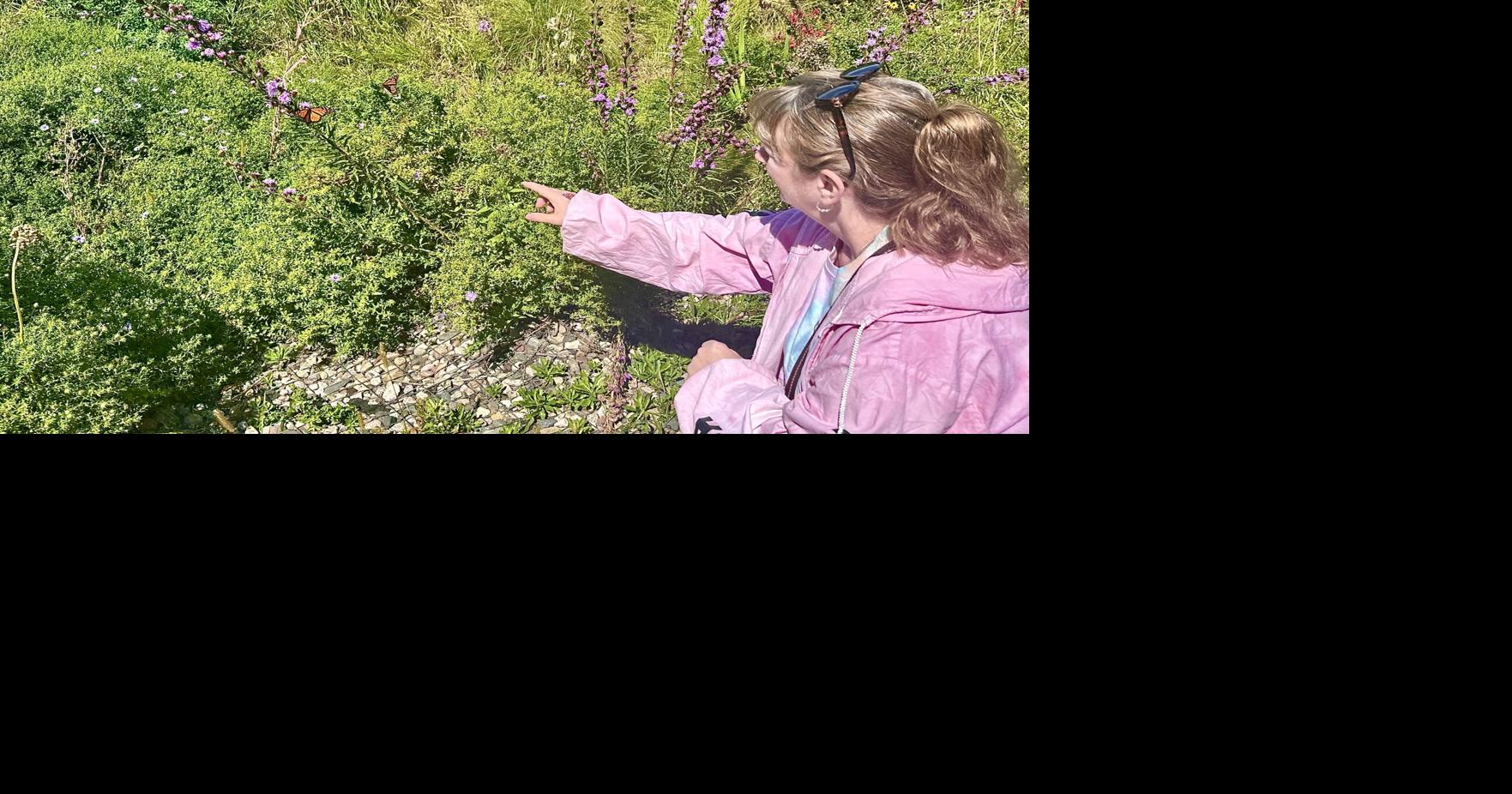 Partners for Pollinators hosts 3rd annual Monarchs at the Mill event ...