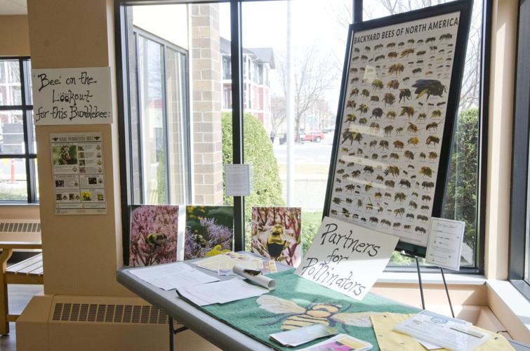 Exhibit illustrates how to help pollinators | News | southernminn.com