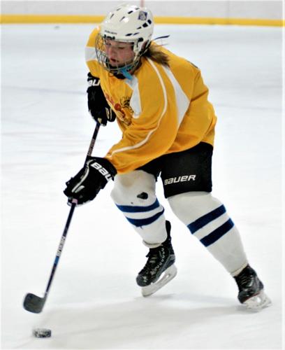 GALLERY: Girls hockey hits the ice | Sports | southernminn.com