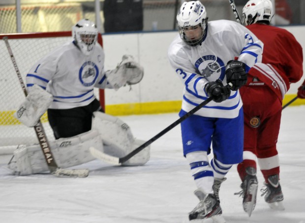 Bulldogs win 2nd straight, beat Austin 5-2 | Sports | southernminn.com