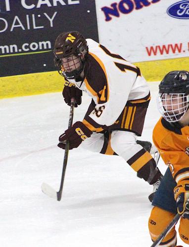 Northfield girls hockey record remains unblemished | Sports ...