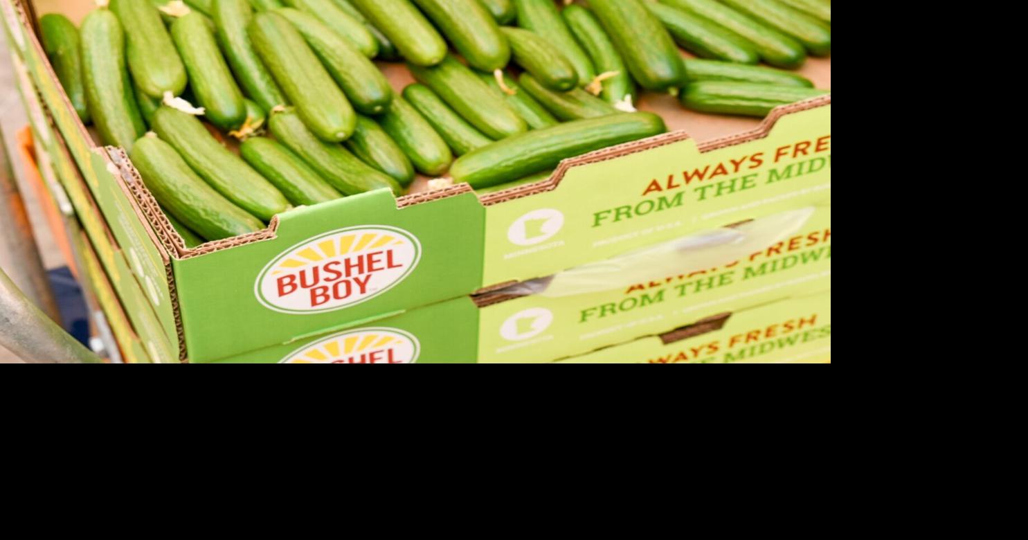Bushel Boy Farms launches year-round, greenhouse-grown cucumbers ...