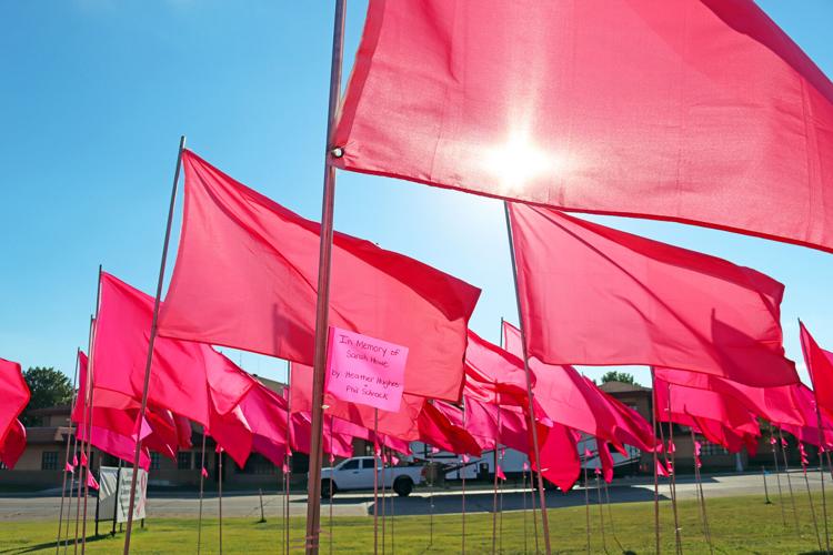 Field of Flags raises record donations for BP Cancer Group | News ...