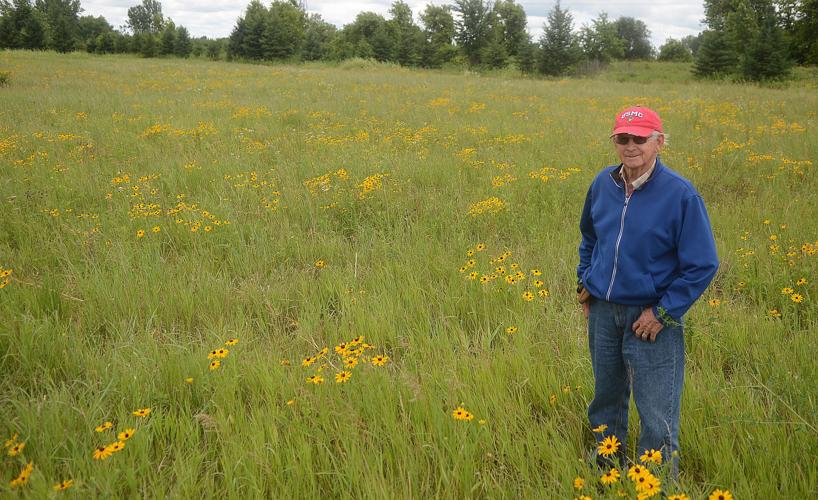 Habitat restoration work revives native grasses, bolsters bee and ...