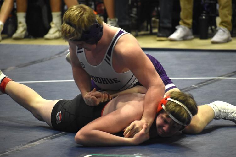 Kenyon-Wanamingo wrestling falls late in section semifinals against ...