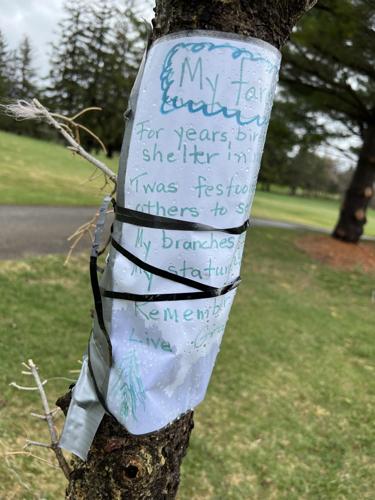 poem on tree.jpeg | | southernminn.com
