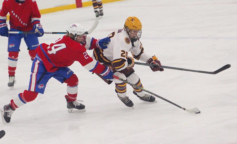 NHS boys hockey completes weekend sweep | Sports | southernminn.com