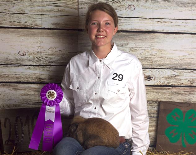 Awards in rabbit, poultry categories awarded to county 4Hers | News ...