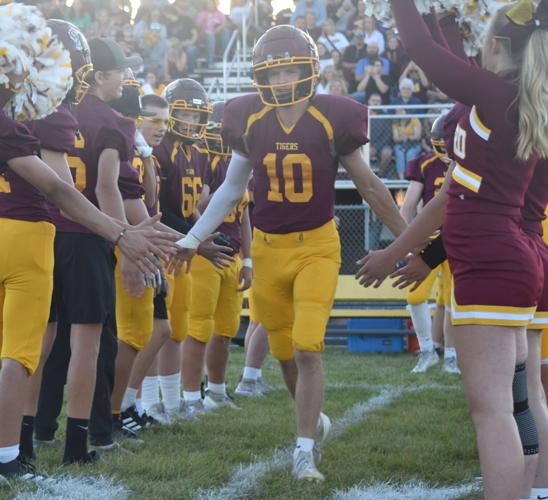 Tigers lose in Homecoming game against Rebels | Sports | southernminn.com