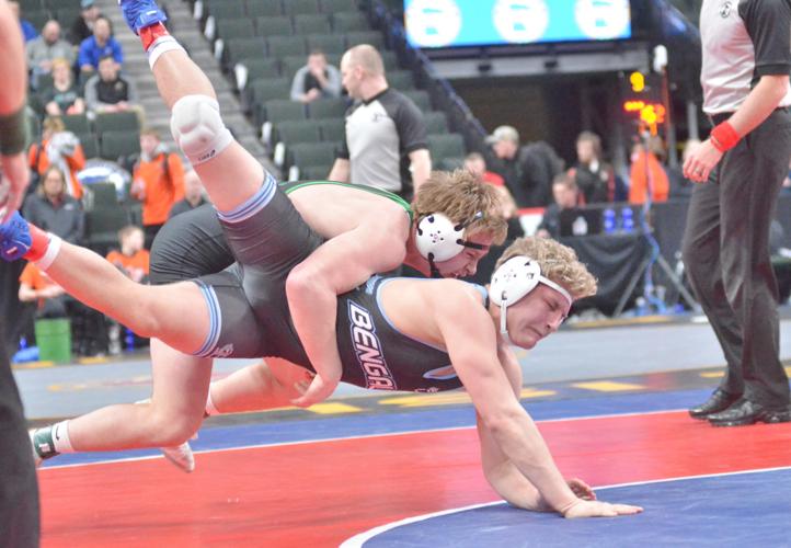 Daily News reveals all-area wrestling team | Sports | southernminn.com