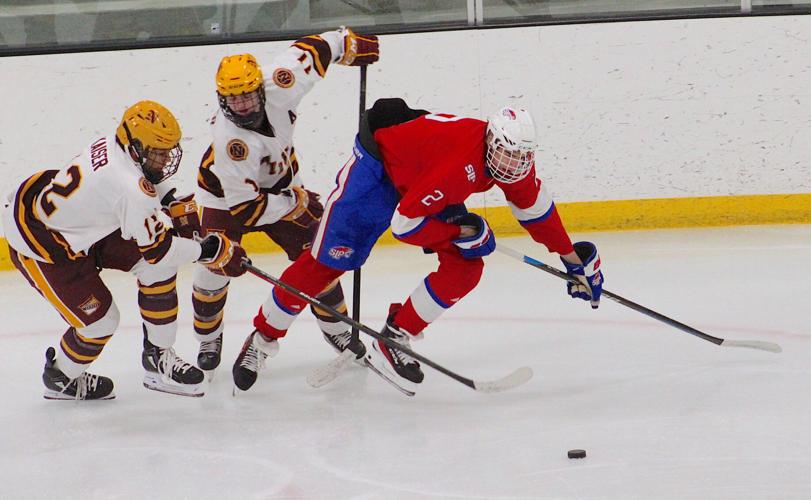 NHS boys hockey completes weekend sweep | Sports | southernminn.com