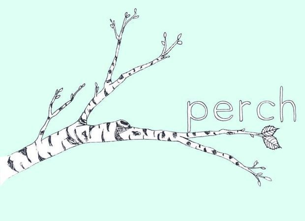 Northfield High School and St. Olaf graduate debuting short film 'Perch ...