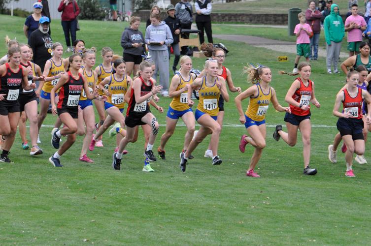 Waseca hosts cross country invite at Lakeside Golf Course | Sports ...