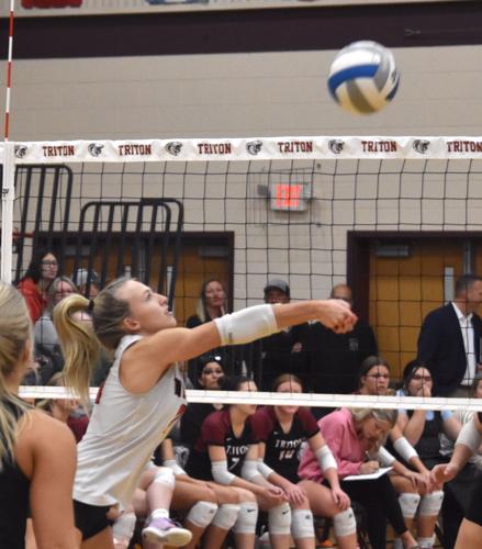 Panthers close out regular season with loss to Cobras on the road ...