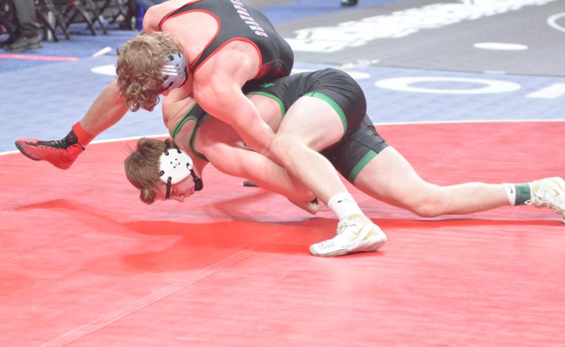 Faribault senior Oathoudt advances to championship quarterfinal ...
