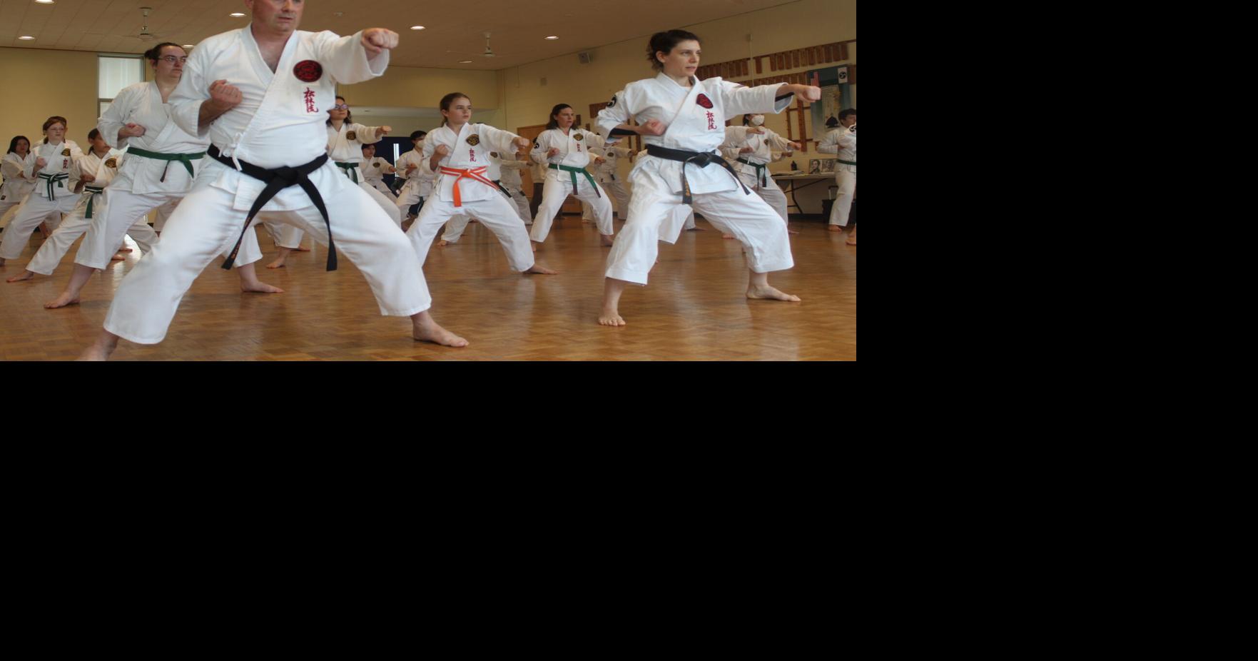 Local karate club celebrates 15 years with workshops and level tests ...