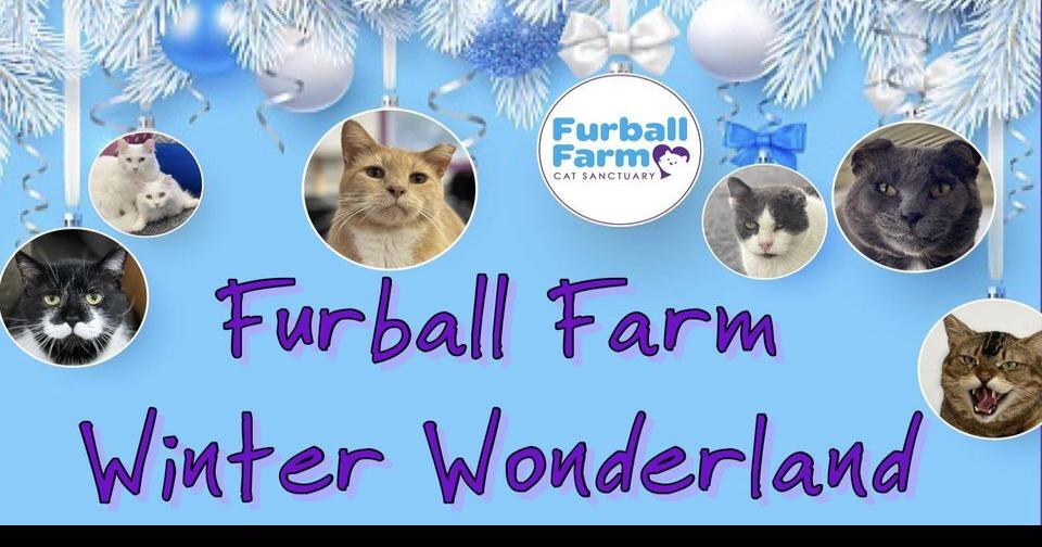 Furball Farm Winter Wonderland - Faribault | Scene | southernminn.com