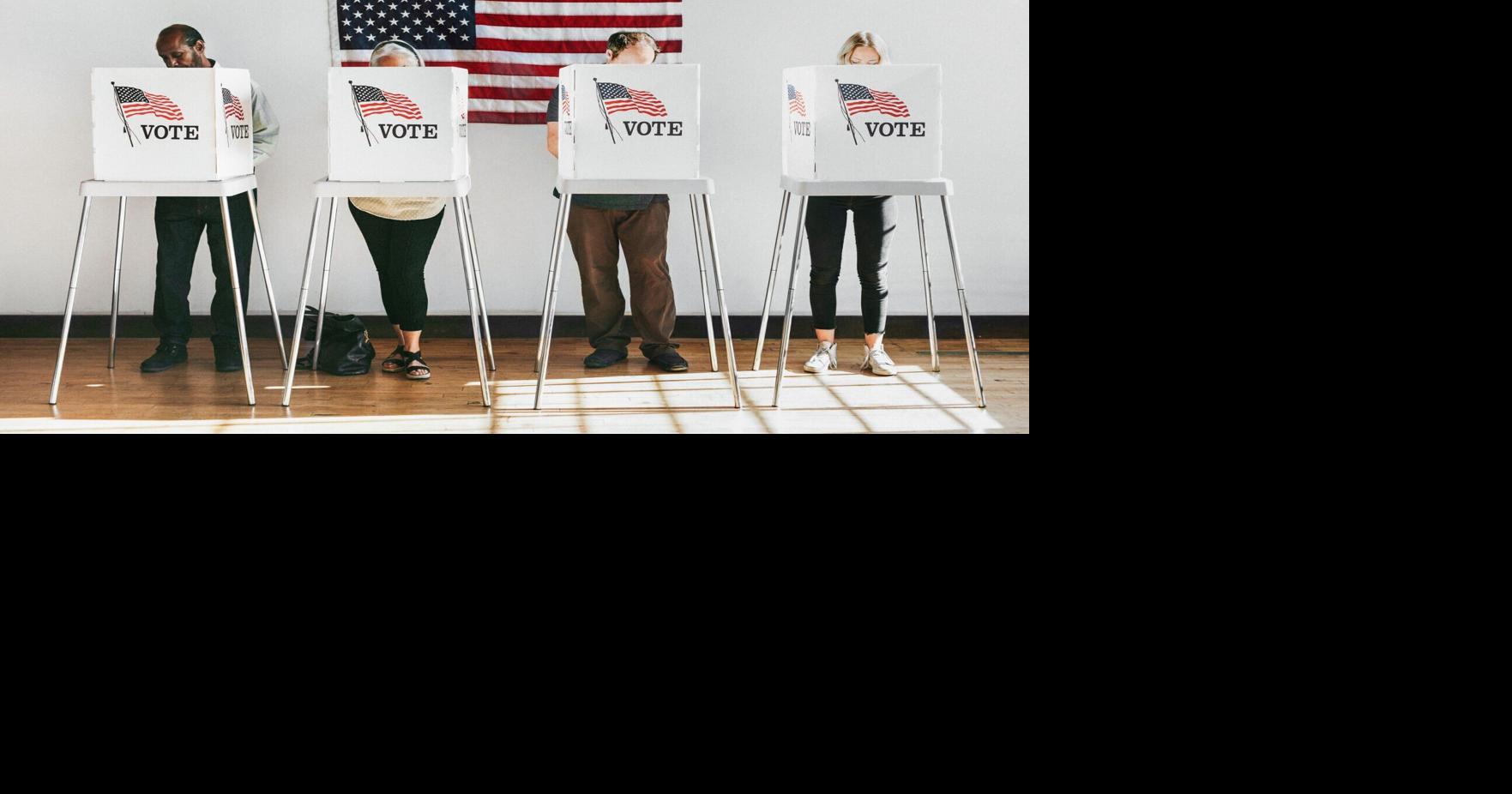 Candidates in area get set for Minnesota House and Senate elections ...