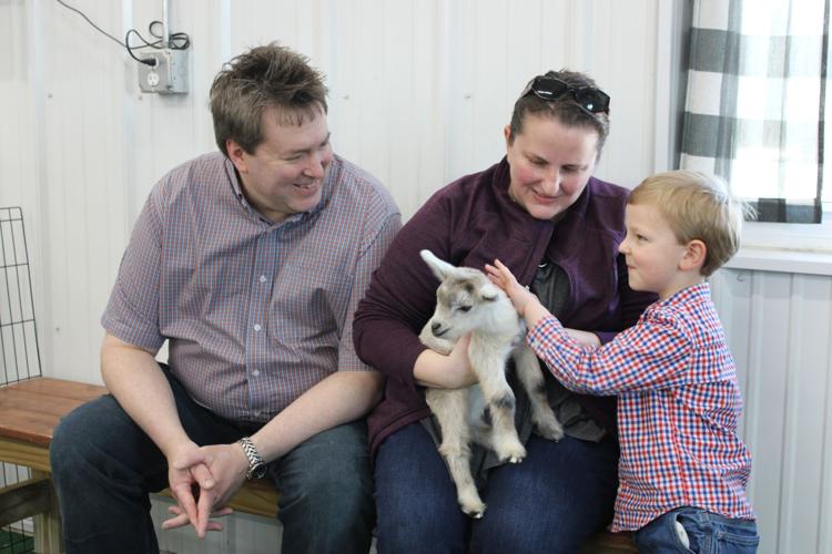 Windy Willow Farm hosts third annual spring animal fair | News ...